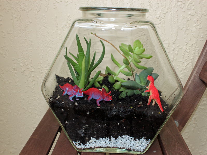 How to Make a Miniature Dinosaur Zen Garden with Your Kids - Sweet Greens