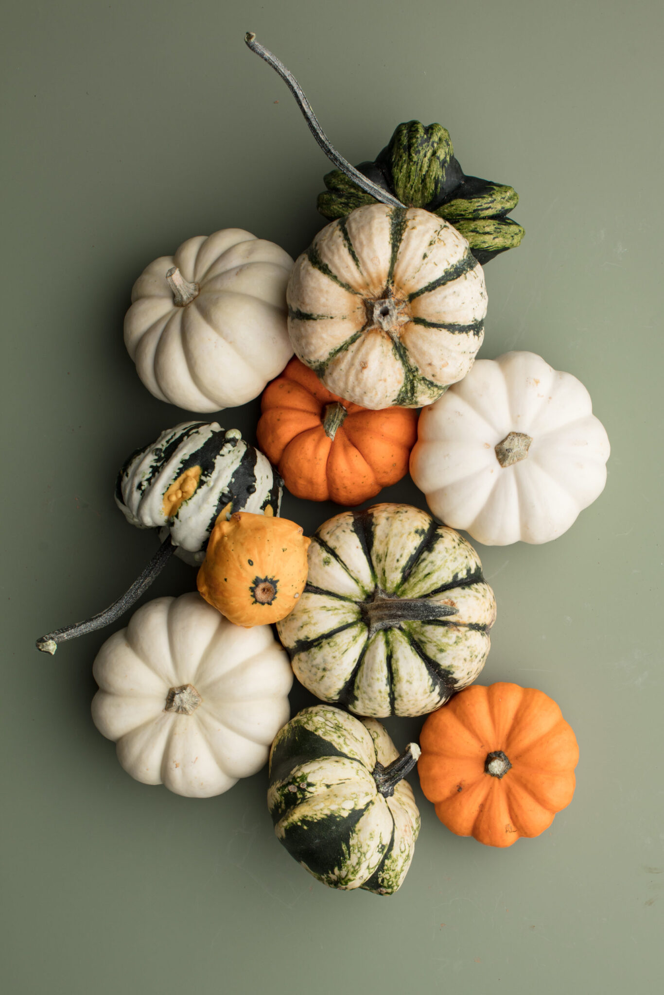 Sweet Greens - Your Earth Friendly Guide to All Things Green | Green ...